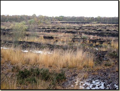 Postcard from Timperley: Lindow Moss and The Bog Man